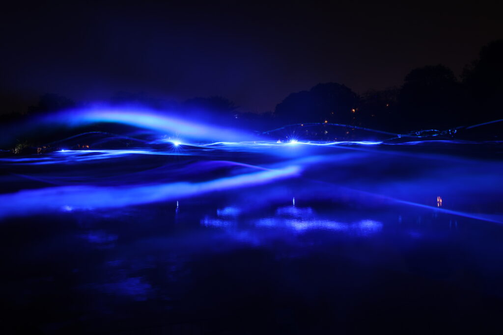 Water Street Tampa Elevates Art Scene With Waterlicht And Dune By ...